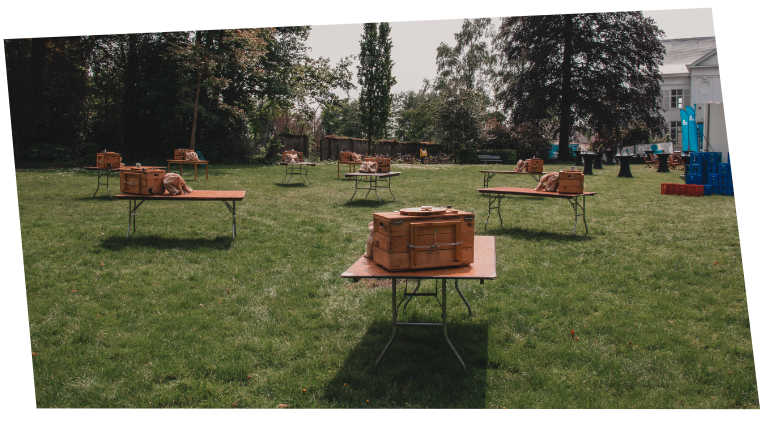 ESCAPE-BOXES | Teambuildings & Mobiele escaperooms